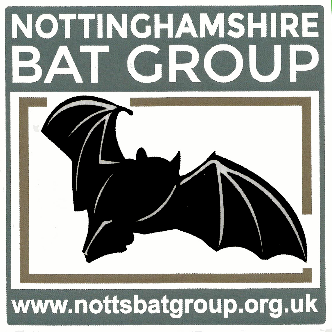 NBG Aims, wildlife conservation, bat walks, bat talks